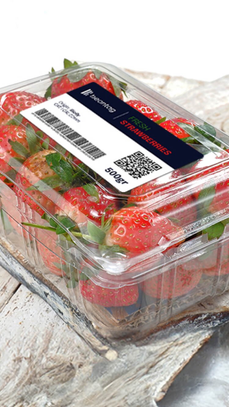 Food and Beverage | Beontag